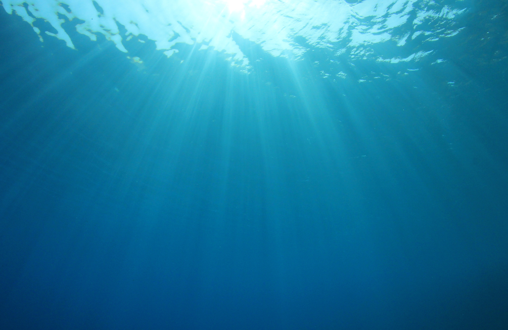 Ocean Literacy Educators Guide